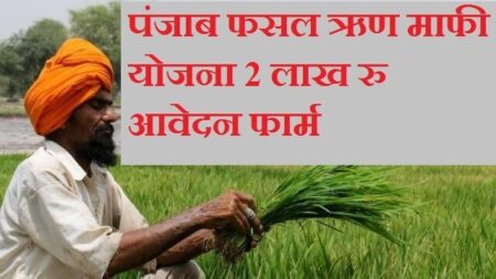 पंजाब फसल ऋण माफी योजना 2 लाख रु किसान फार्म लोन माफी आवेदन फार्म ...