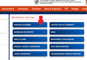 Madhu Babu Pension Form 2026 Madhubabu Yojana Apply Online - Sarkari ...